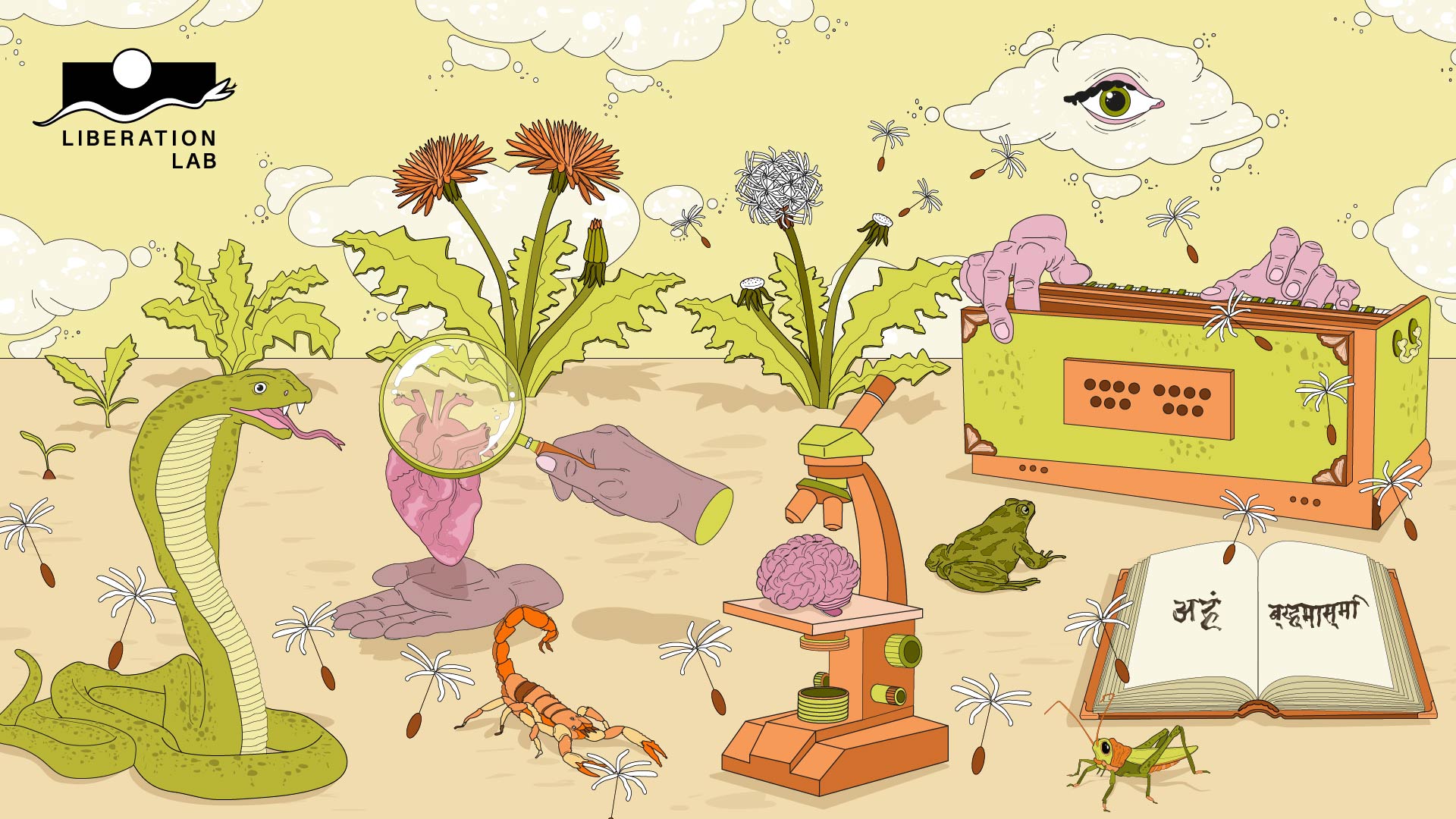 Liberation Lab Liberation Sangha: Buy Nothing Review