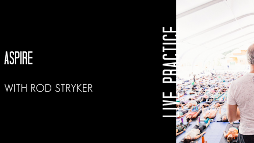 Union | Rod Stryker Replays