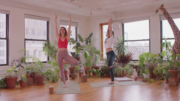 SKY TING – On Demand