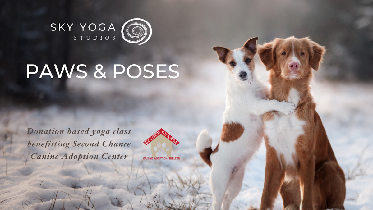 Union | Paws & Poses: Supporting Our Furry Friends at Sky Yoga Studios