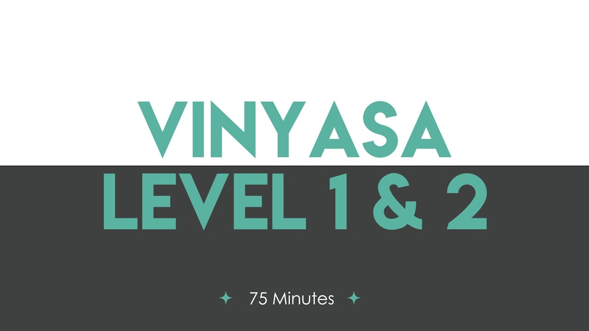 Union | Level 1 & 2 Vinyasa at Temple Yoga Reno