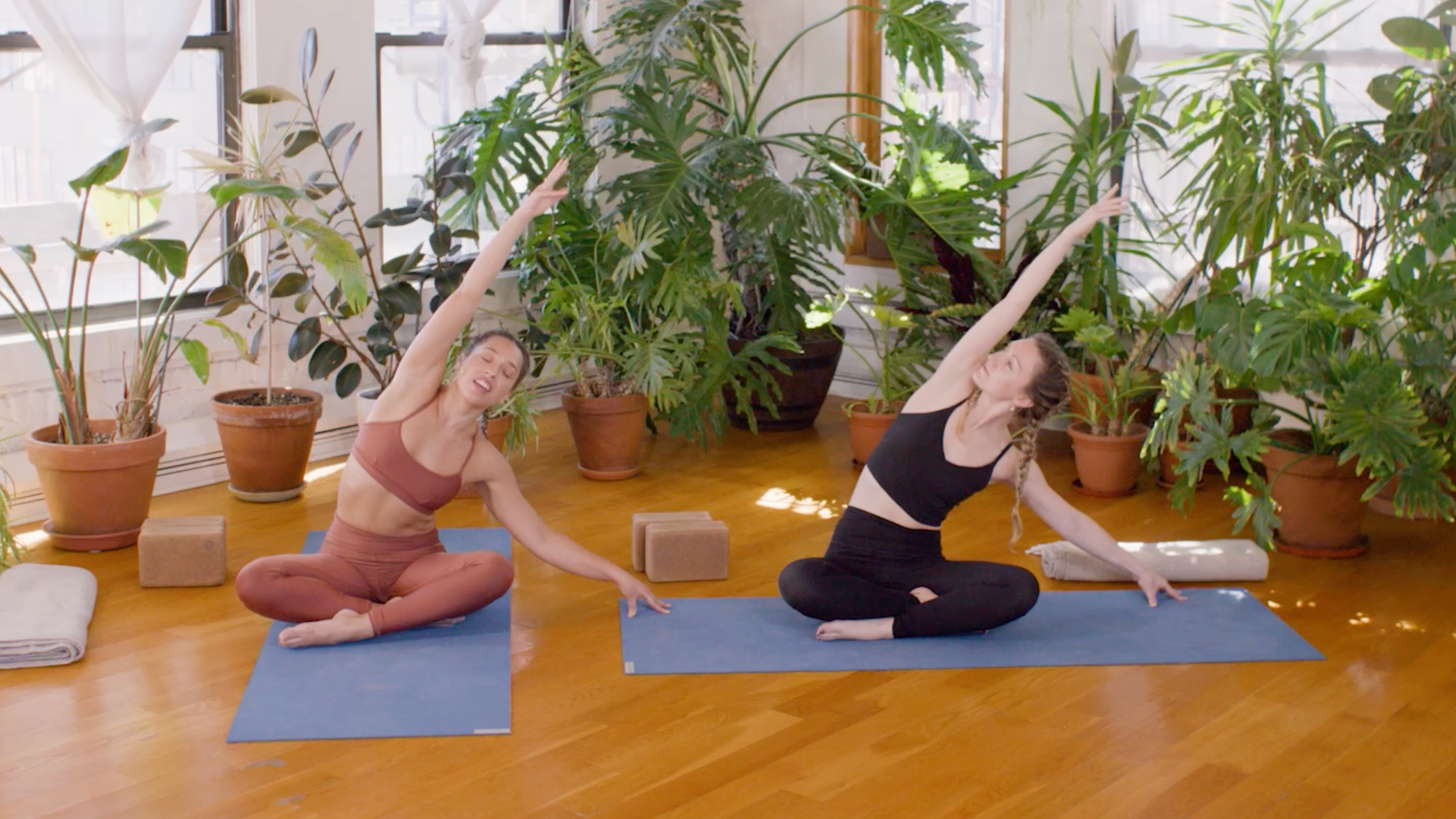 SKY TING – Evening Wind Down