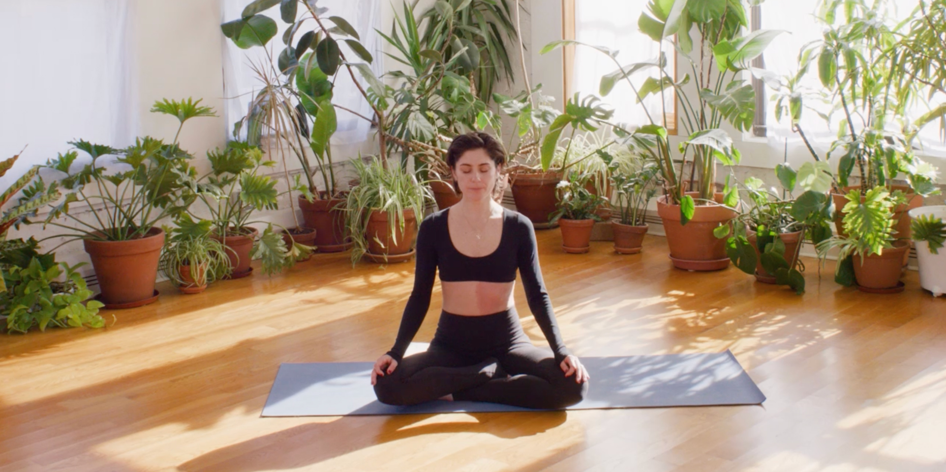 SKY TING – Alchemy Meditation