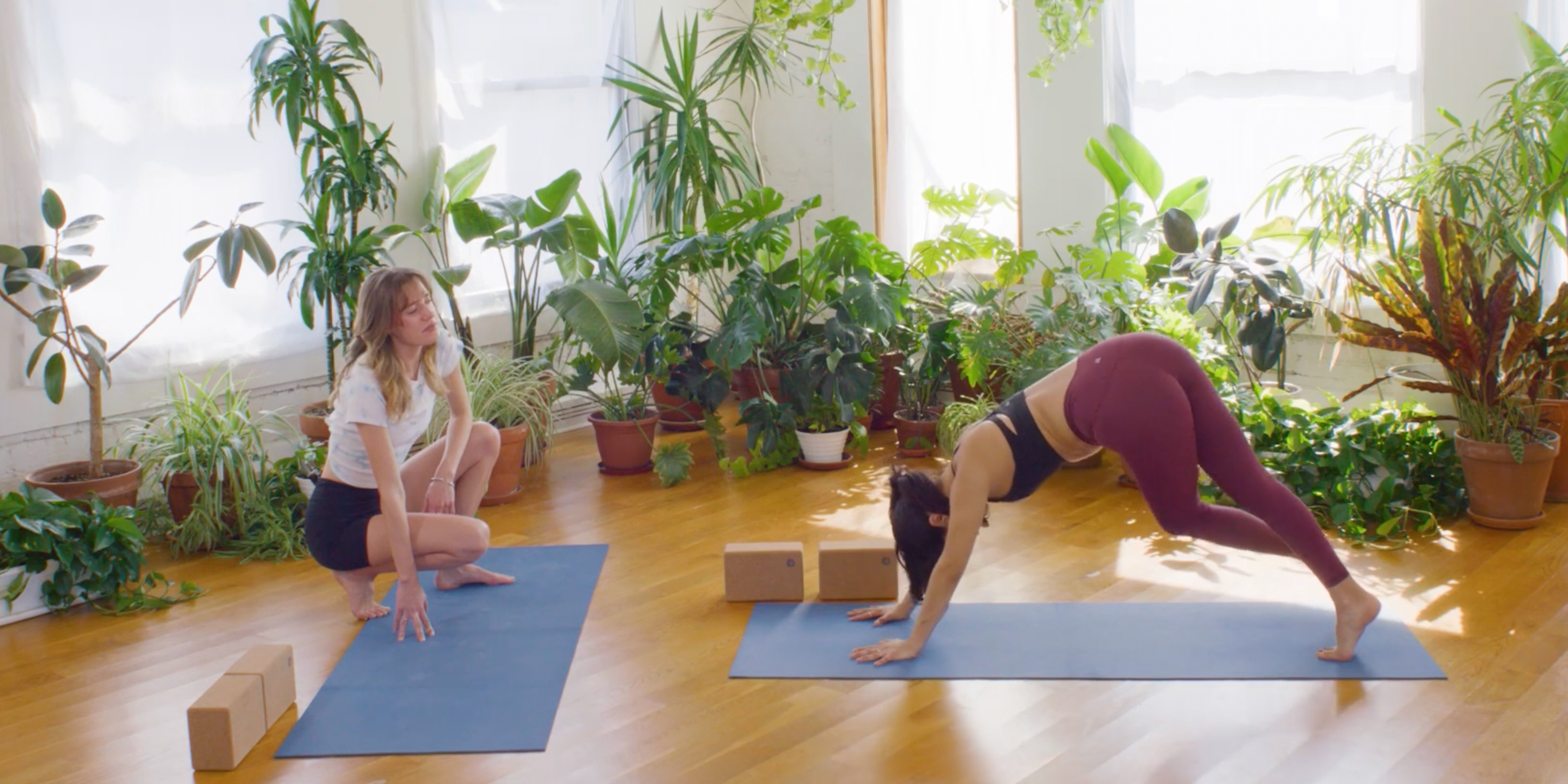 SKY TING – Taurus Szn Flow