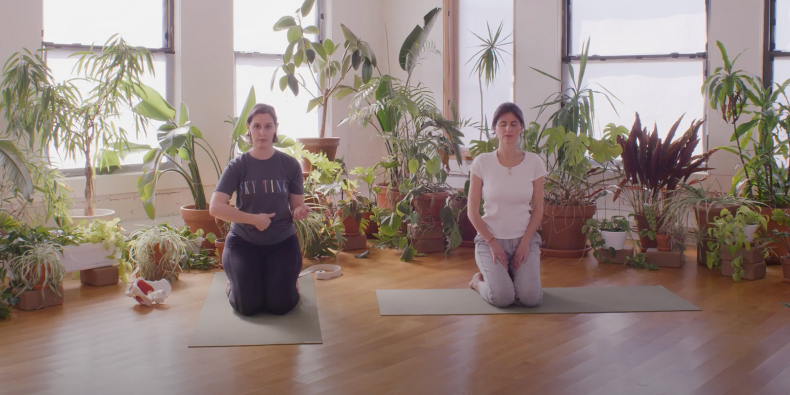 SKY TING – Intro to the Pelvic Floor