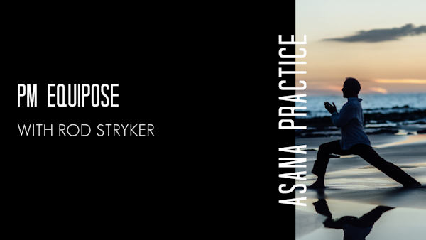 Union | PM Equipoise at Rod Stryker