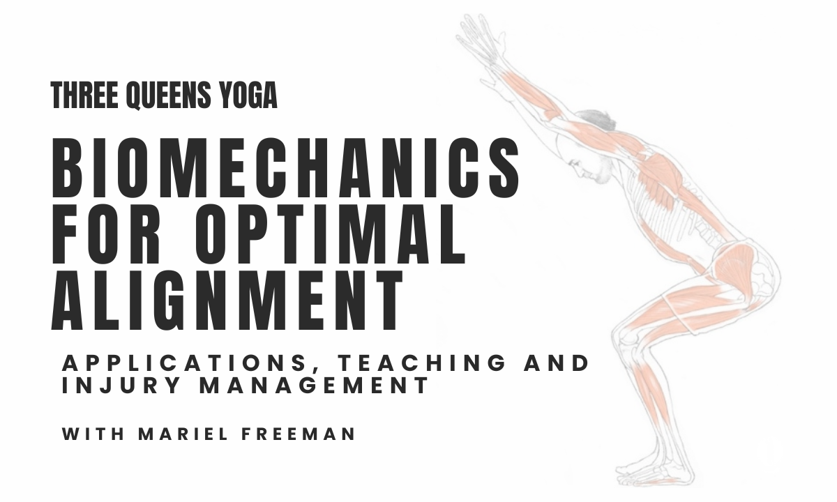 Union | Biomechanics for Optimal Alignment: Applications, Teaching and ...