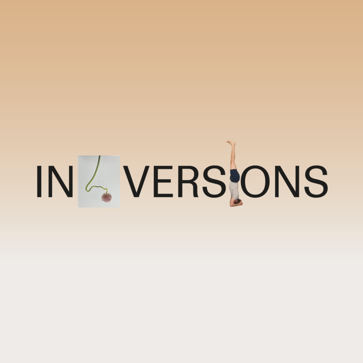 SKY TING – Inversion Workshop