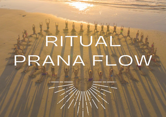 Union | Ritual Prana Flow - Sacred Training for Life at Samudra Global ...