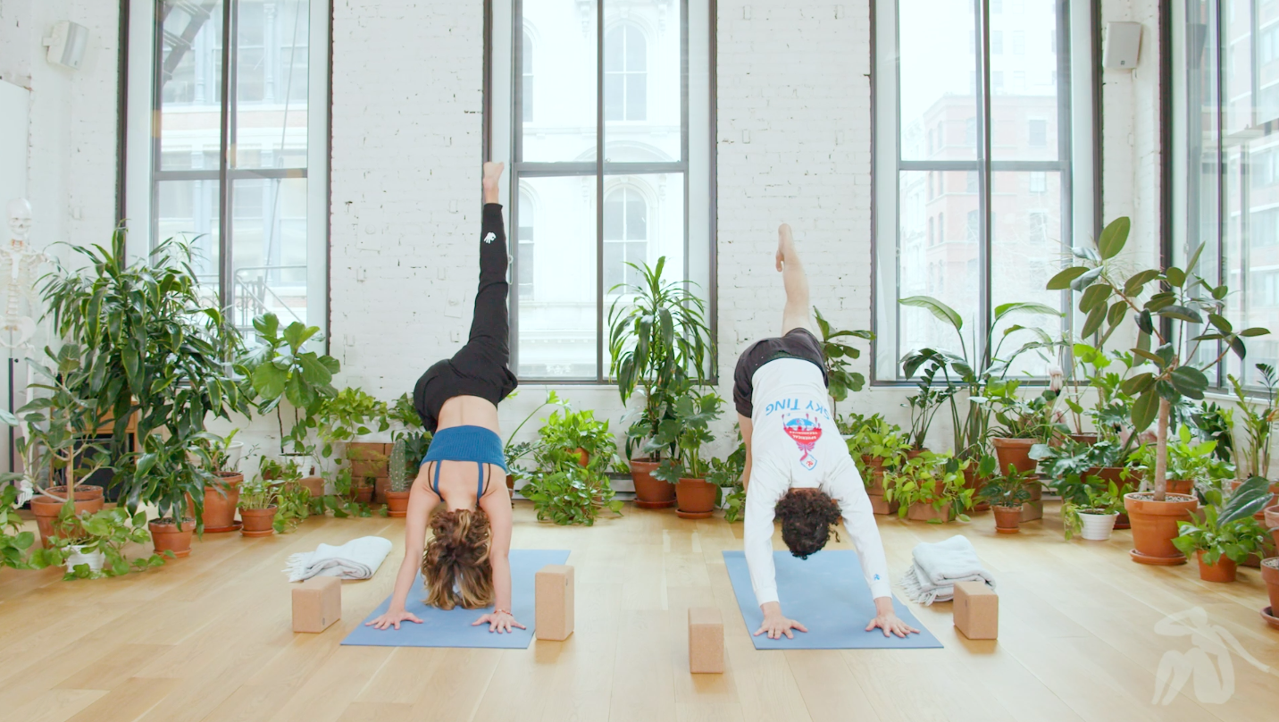 SKY TING – Forward Folds