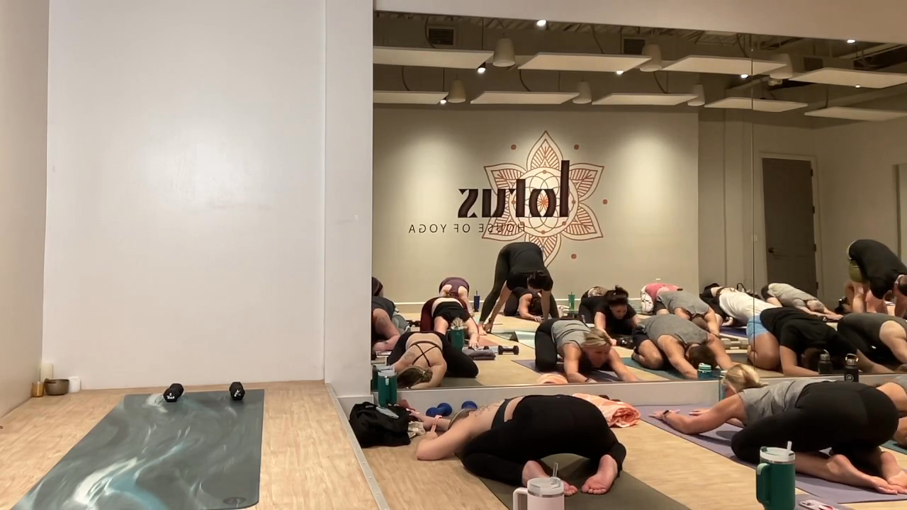 Lotus House – Hot Sculpt