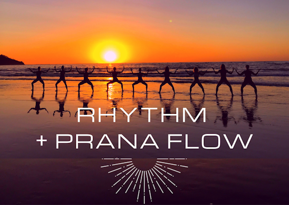 Union | Rhythm and Prana Flow at Samudra Global School for Living Yoga