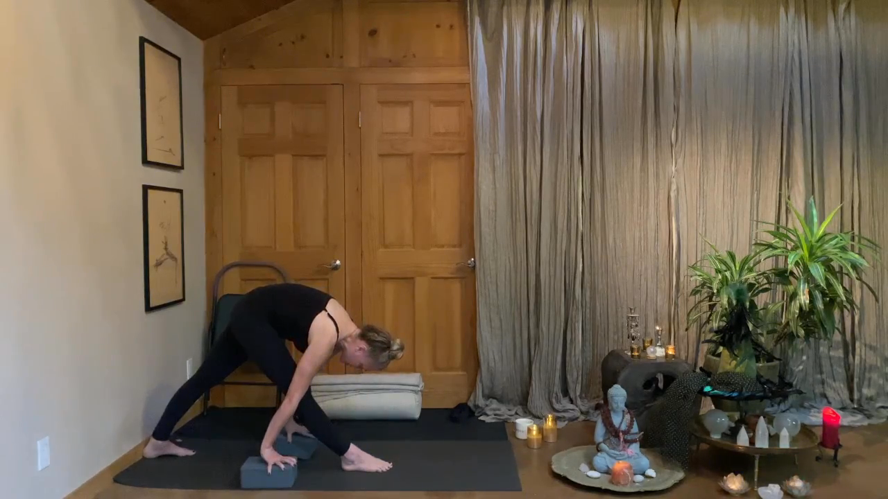 Seane Corn – Replays